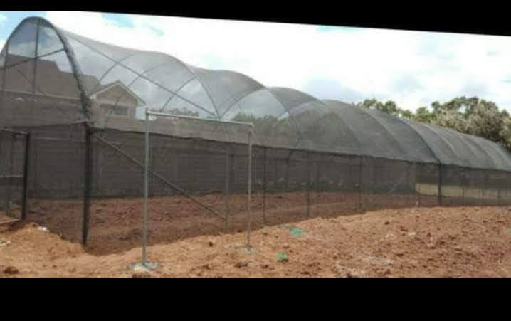 Bird Nets - Greenhouse & Irrigation Systems | Aqua Hub Kenya