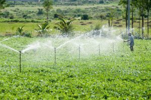 Overhead Sprinkler Irrigation - Greenhouse & Irrigation Systems