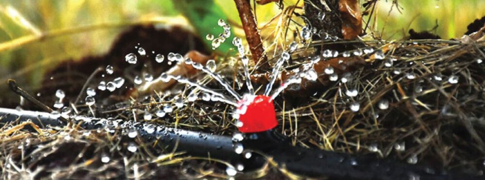 Button Drip System | Aqua Hub Kenya