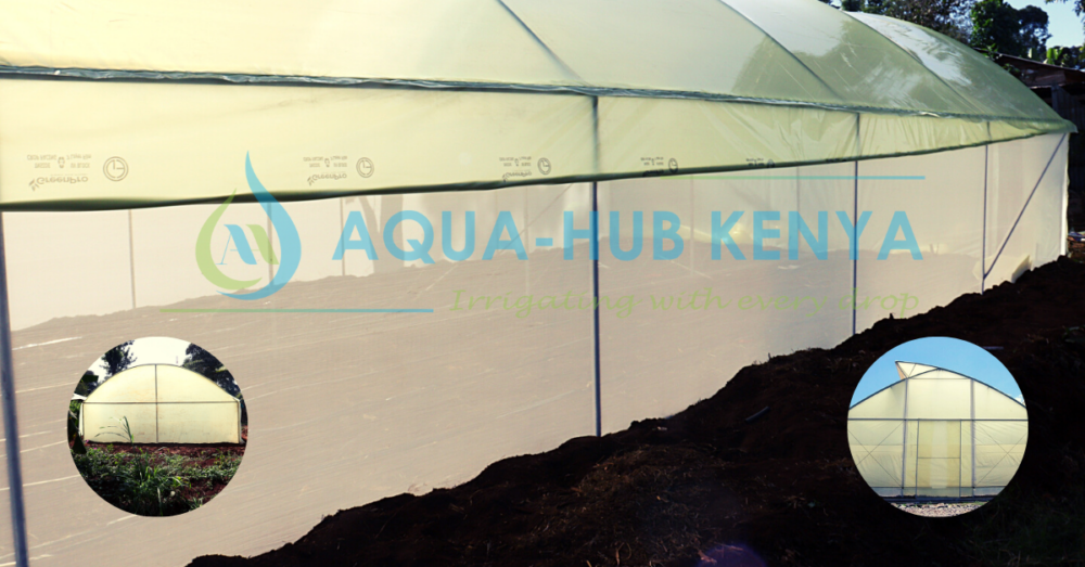 Greenhouse Farming in Kenya | Best Greenhouse Company