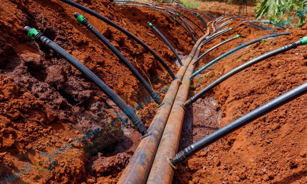 Drip irrigation in Kenya | Aqua Hub KE| Call: 0790719020