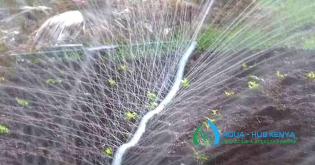 How to use Rain Hose Irrigation | Aqua Hub Kenya | 0790719020