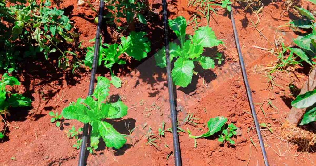 Drip Lines in Kenya 2024 | Aqua-Hub LTD | 0790719020