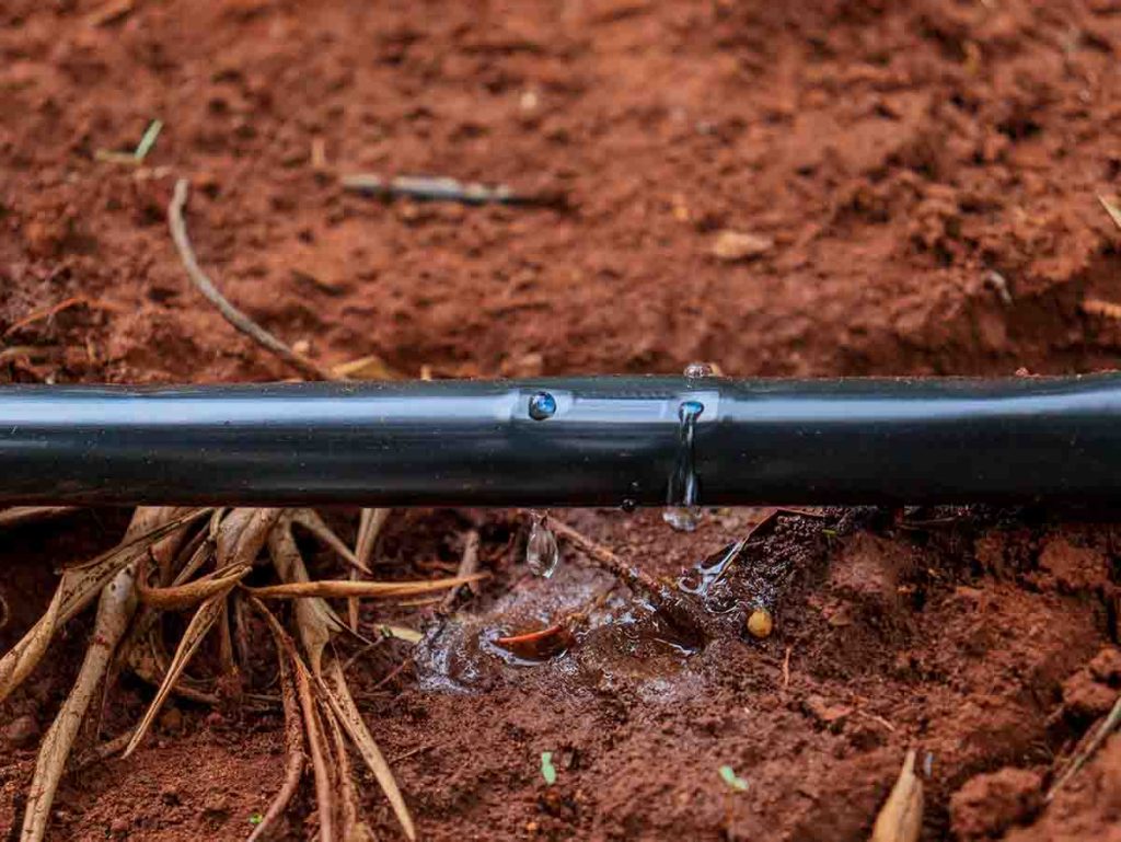 Drip Irrigation for Tomatoes in Kenya | Aqua Hub Kenya | 0790719020