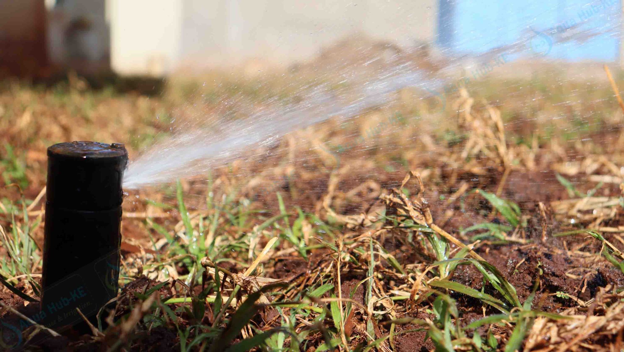 Pop-up Sprinklers for Your Lawn Irrigation - Aqua Hub Kenya 0790719020