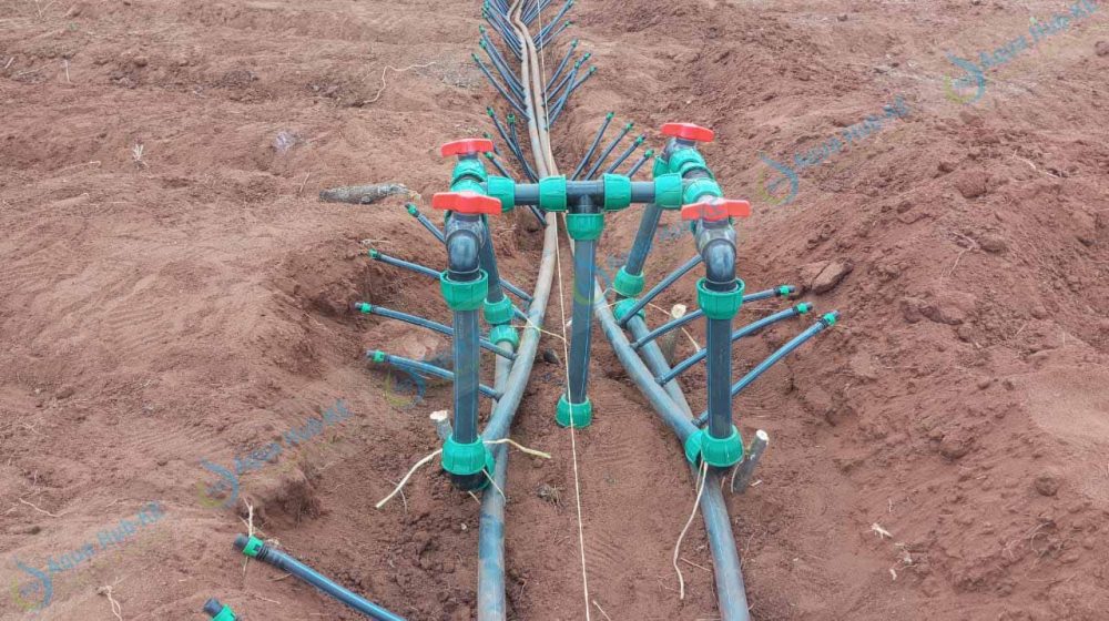 Drip Irrigation for Watermelons in Kenya | Aqua Hub Kenya | +254790719020